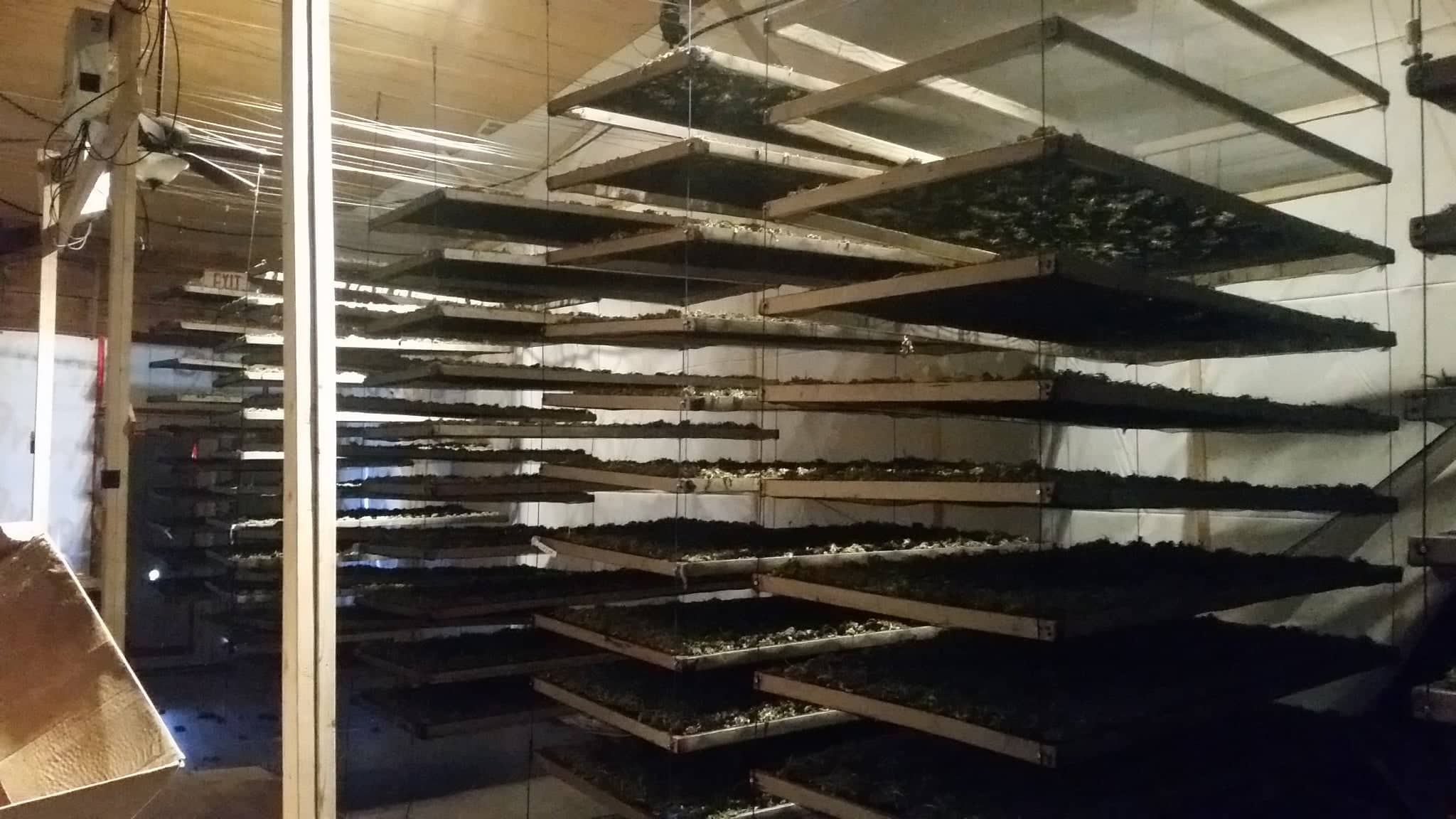 drying racks